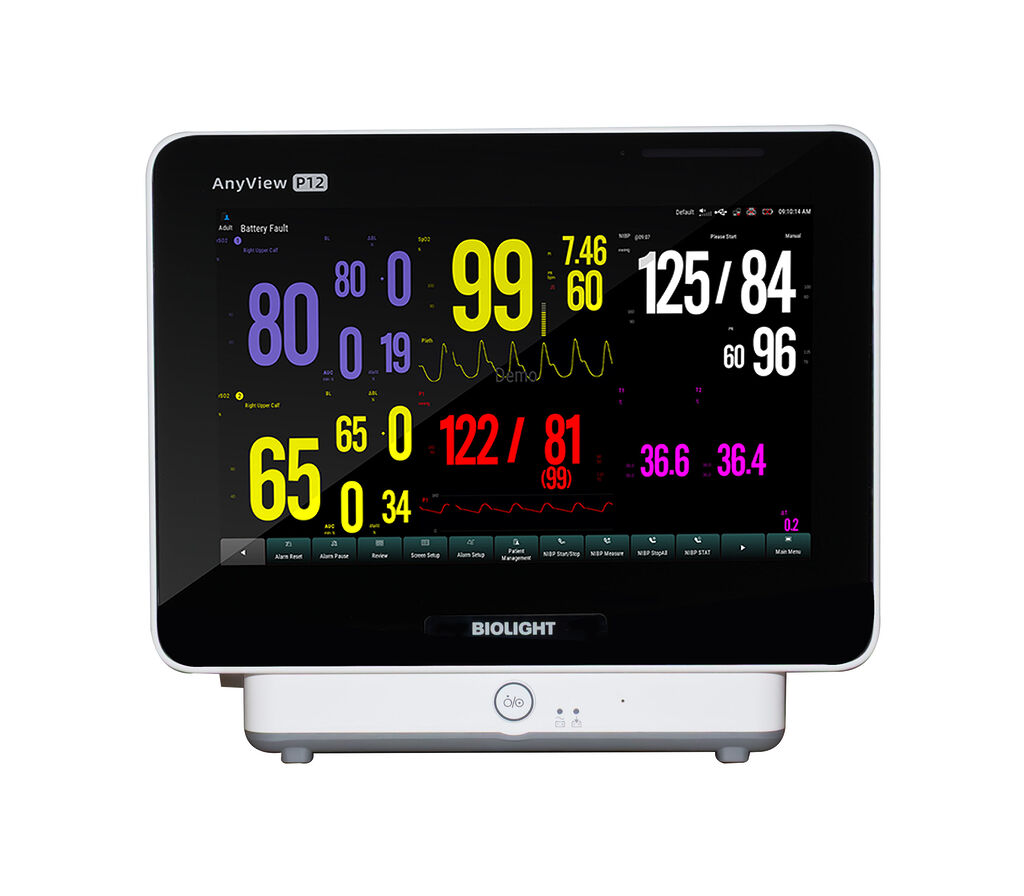 AnyView P12 – Monitor compacto e versátil - OxySystem